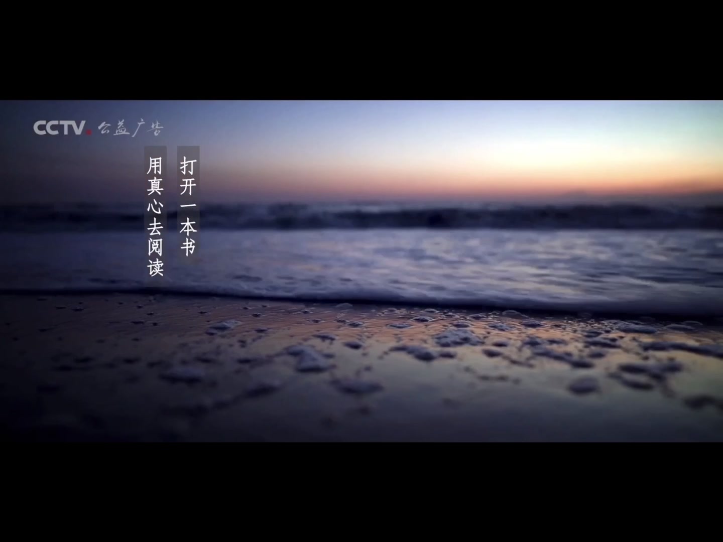 【世界读书日】央视公益广告短片|康震 白岩松 陈数|读书的意义