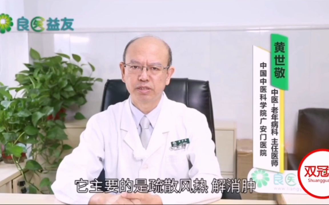 牛蒡的功效和食药用价值