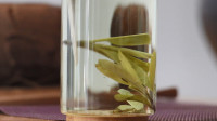 北风茶艺:你知道苦丁茶可以降三高,但这类人群绝对不能喝!
