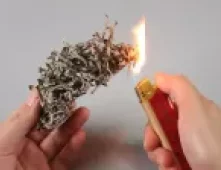 挂在门上的艾草别扔,放在房间里烧一烧真厉害,现在知道还不晚