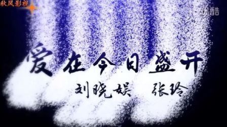 ...mv婚礼微电影婚礼开场婚礼主持人登场电子相册制作视频婚礼倒计时...
