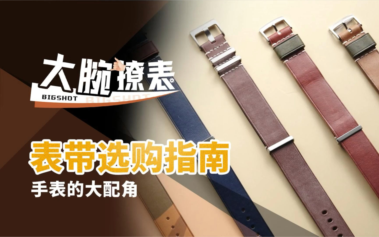 适合所有人的腕表表带选购指南 #大腕撩表