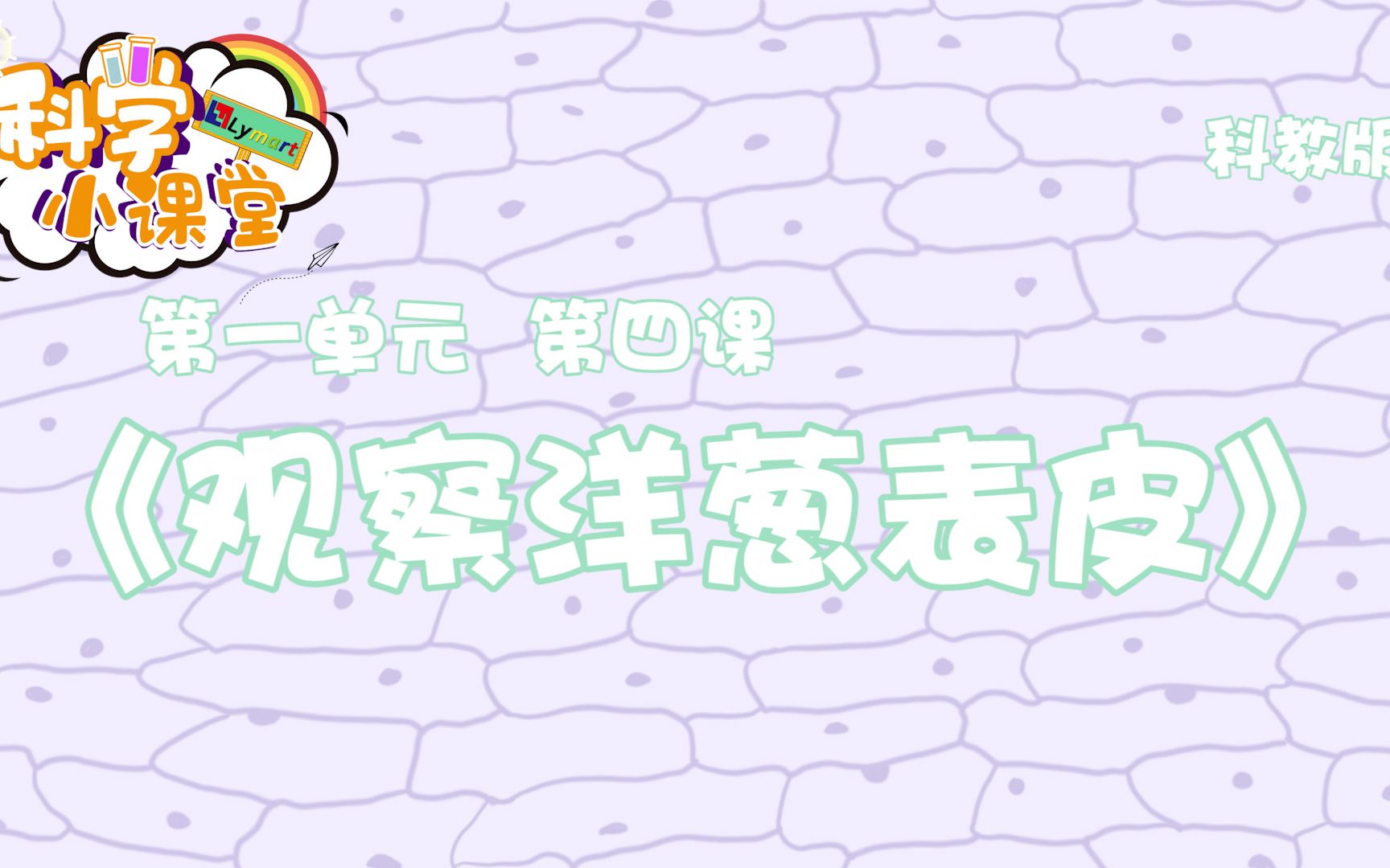 六年级上册 第一单元 第四课 观察洋葱表皮