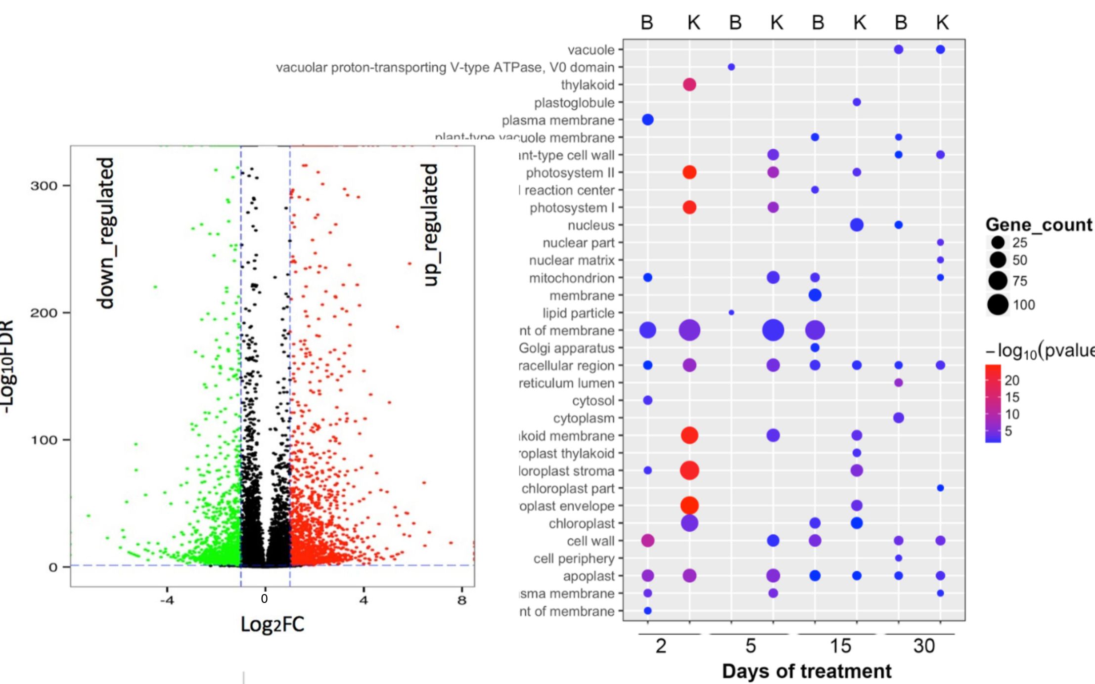 R语言与生物信息第14集: ggplot2绘图, 保存,点点图案例分析