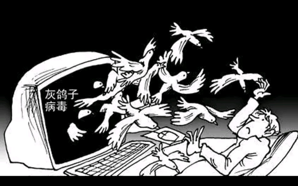灰鸽子病毒竟如此可怕,危害远超熊猫烧香