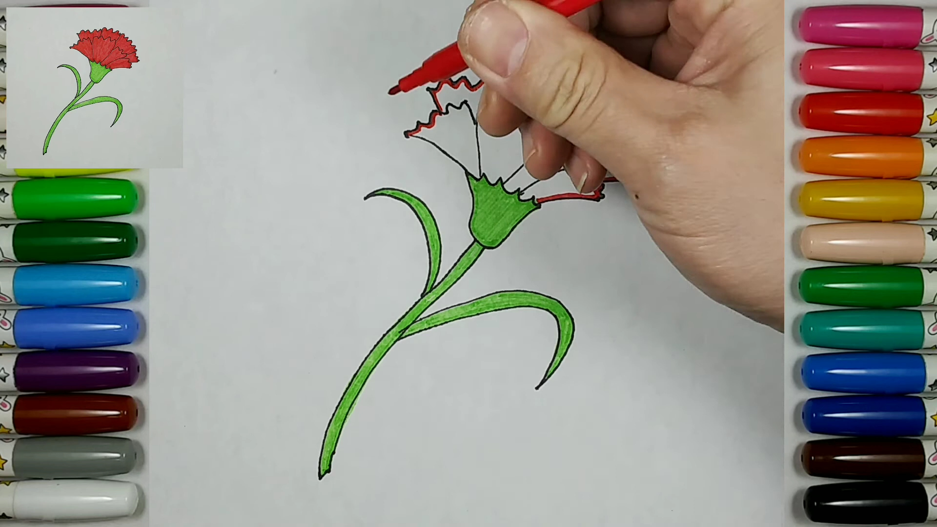 【儿童简笔画教程】画一朵美丽的康乃馨:温馨的母亲节礼物!
