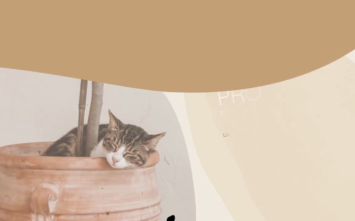 有机形状组合AE模板
