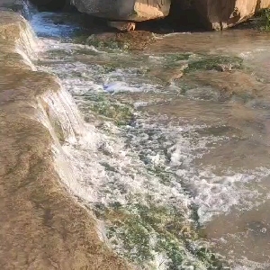 梦想的不甘者 