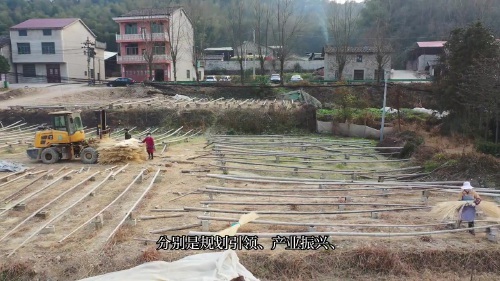 和美乡村建设工作总结