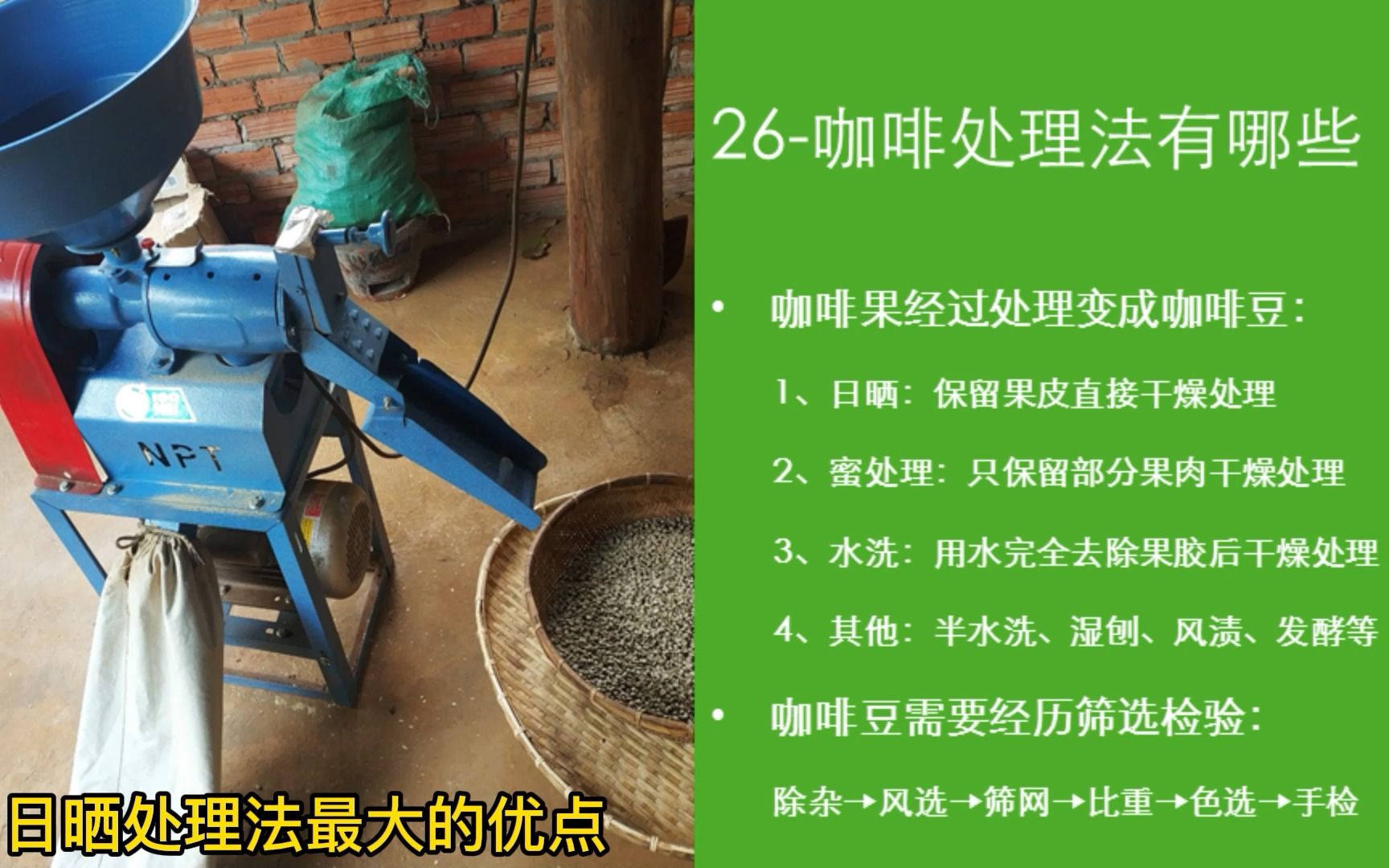 嗡嗡说咖啡第二十六集:咖啡的处理法有哪些