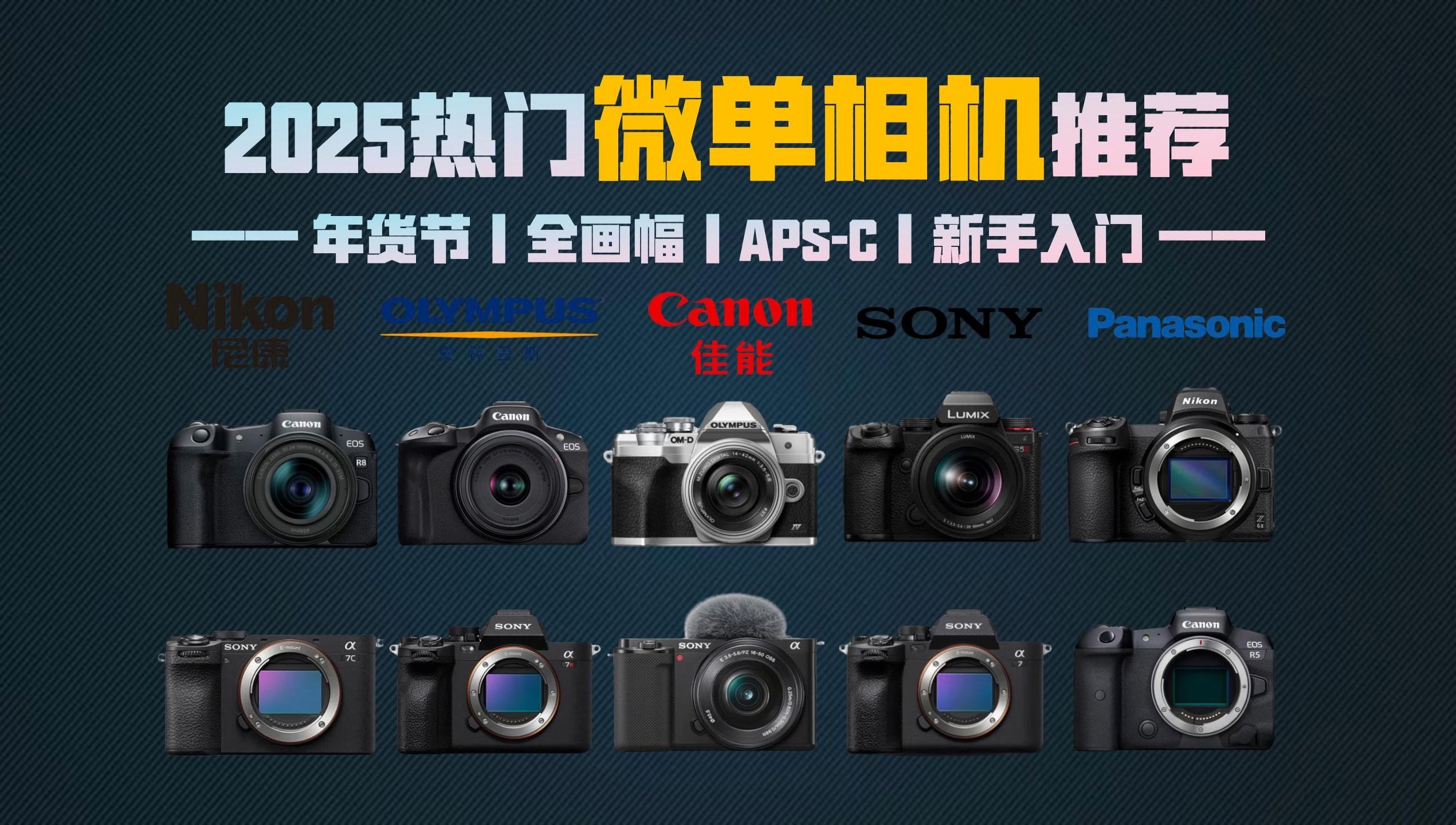 【年货节+国补微单相机推荐】2025年货节全画幅/APSC画幅微单相机...