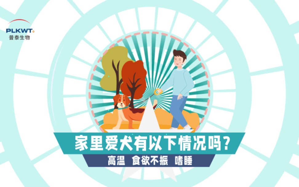 狗狗感染犬瘟热病毒会有哪些症状?使用洛阳普泰生物检测卡,十分钟出...