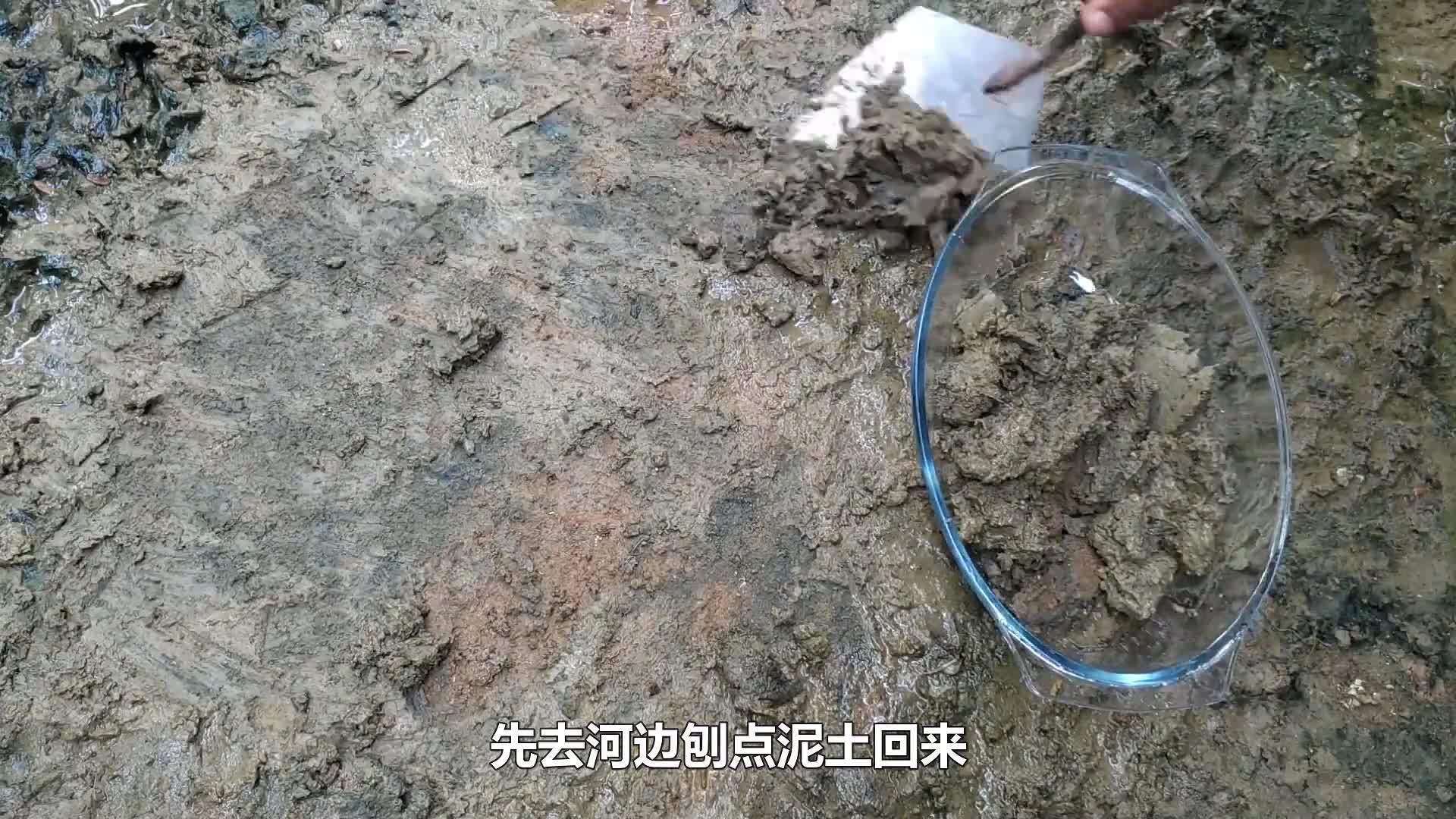 用泥巴从零制作粘土电池,穿越必备技能! #科学实验 #科学小制作 #简单...