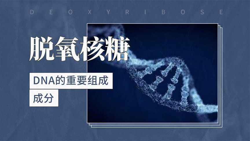 DNA的重要组成成分——脱氧核糖