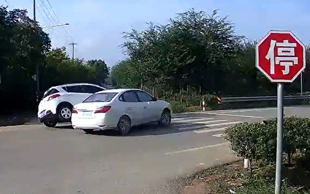 交通事故合集:无视交通标识横穿马路,全责一点都不意外