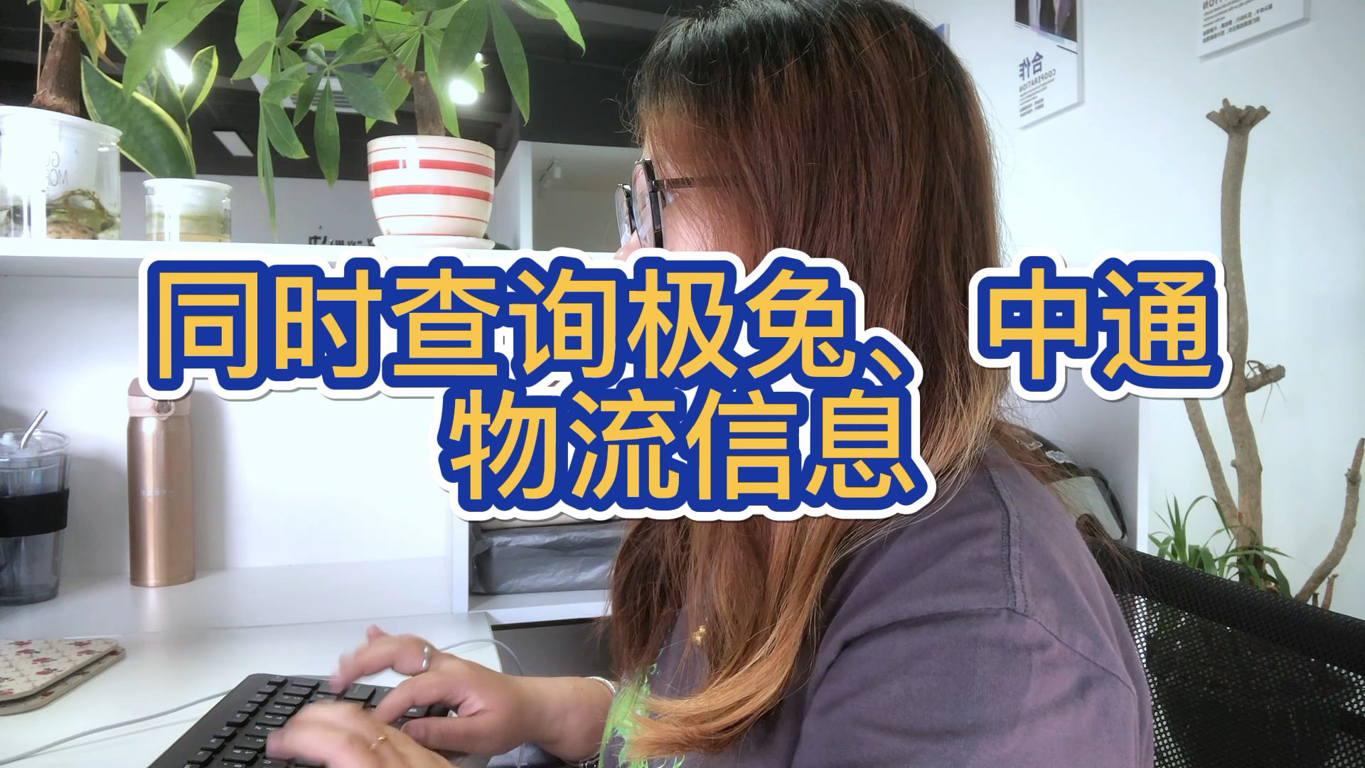 批量查询快递物流信息 支持中通极兔等快递公司