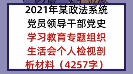 2021年某政法系统党员领导干部党史学习教育专题组织生活会个人...