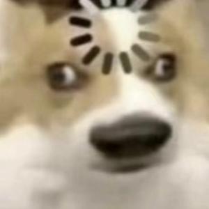 我回来了