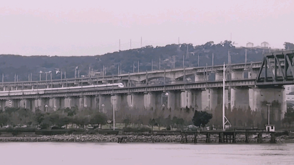 全国为数不多的CRH1E,D388东莞南—上海虹桥