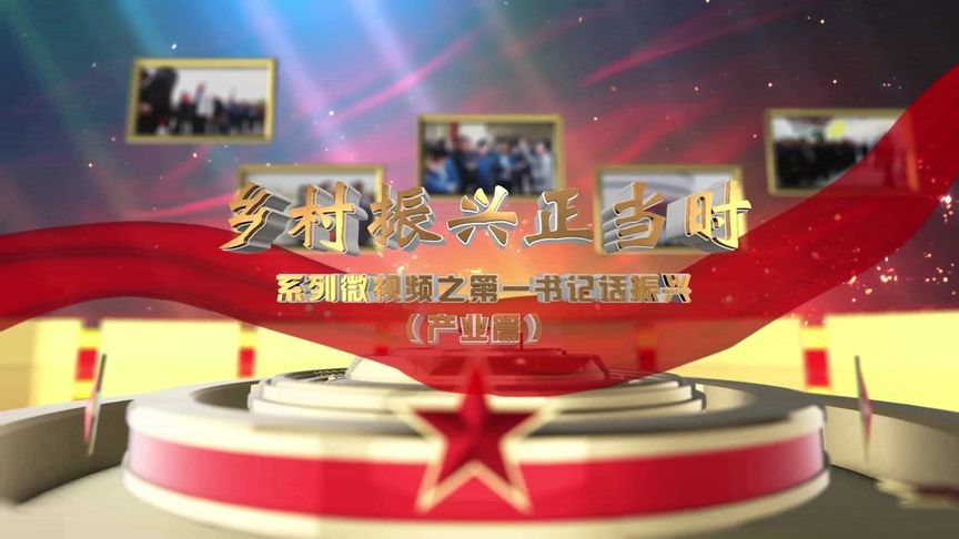 “乡村振兴正当时”系列微视频之第一书记话振兴(产业篇)