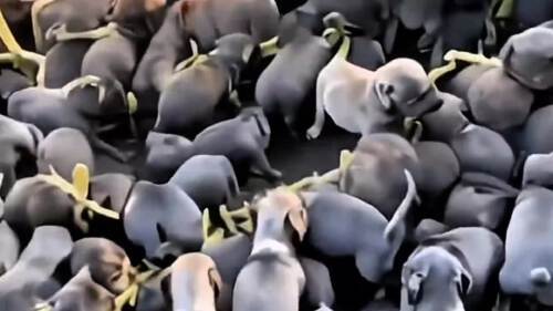 AI时代来临,我们眼中的世界还有多少真实?揭秘虚拟与现实的边界!