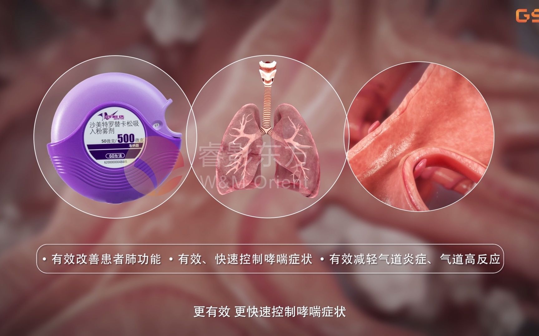 【3D医学动画】GSK舒利迭炎症因子机制(哮喘)动画演绎