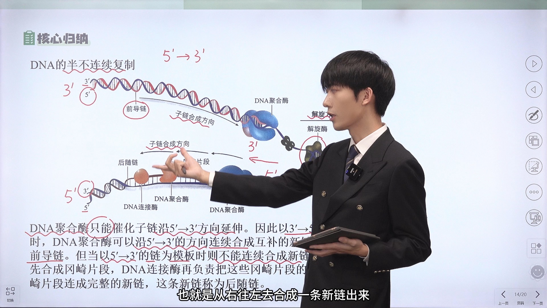 【0基础学习】DNA的复制:超详细讲解+考点全覆盖