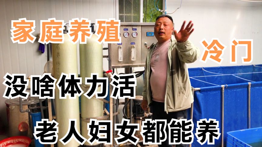 朋友家的冷门养殖场,这样的规模年利润过百万,来欣赏了解下