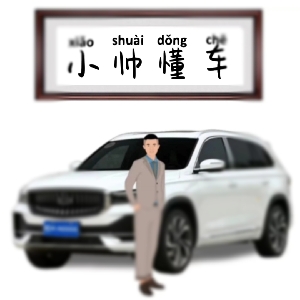 小帅懂车 
