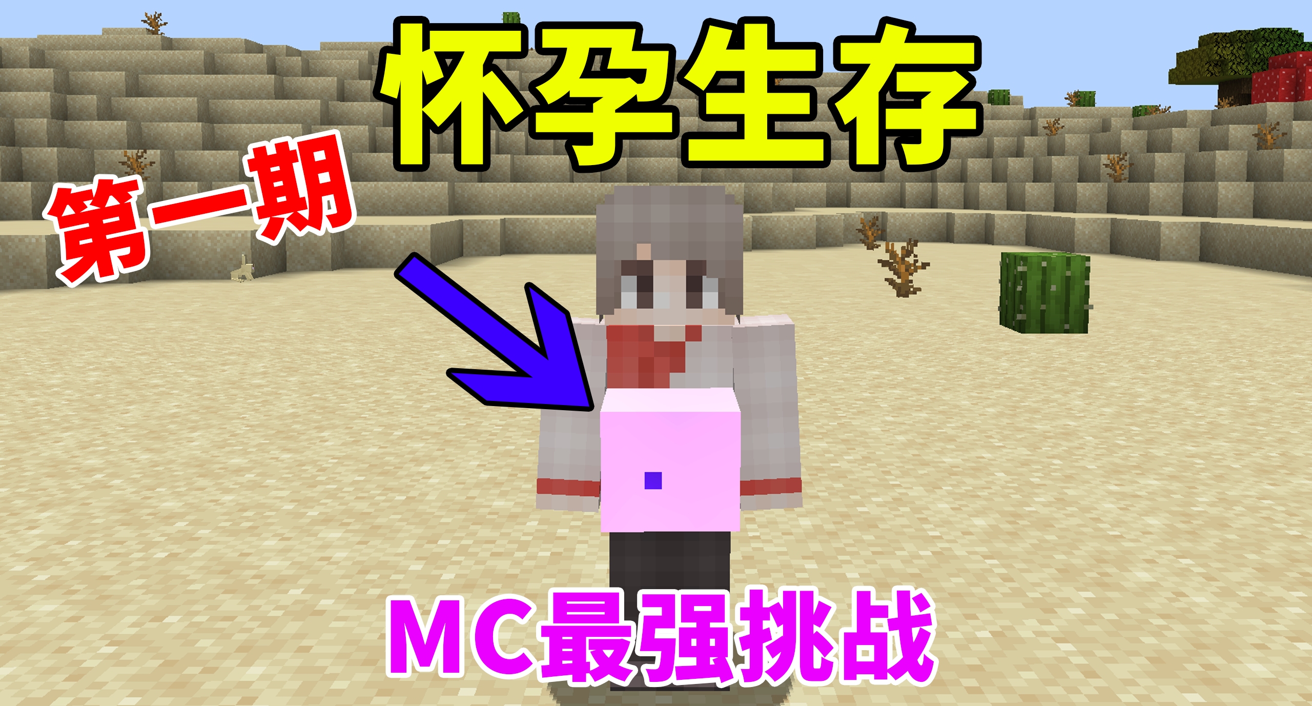 我的世界:若在MC突然怀孕要如何生存第一期