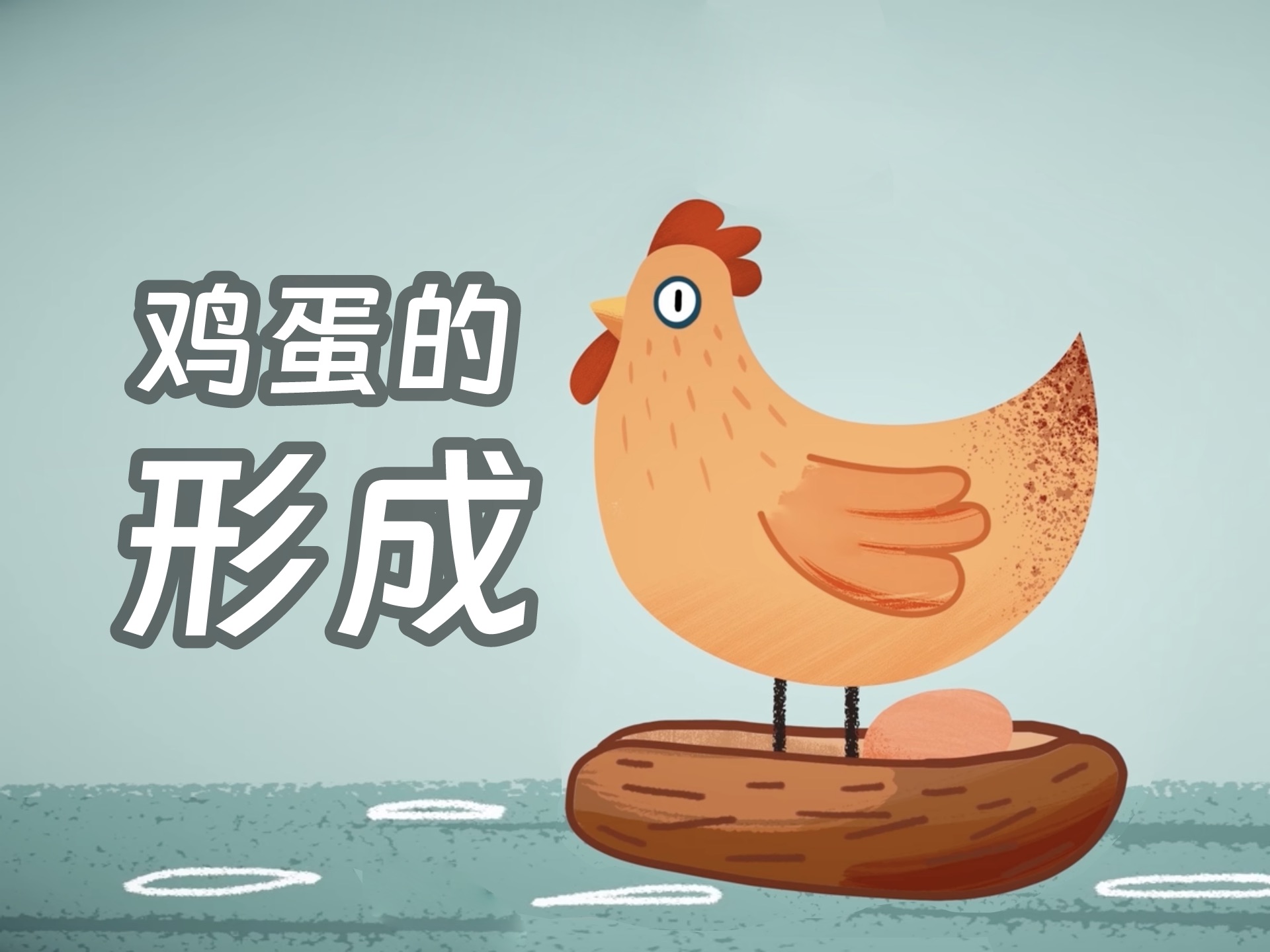 鸡蛋是怎么形成的?