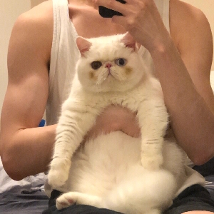 游乐贞子 