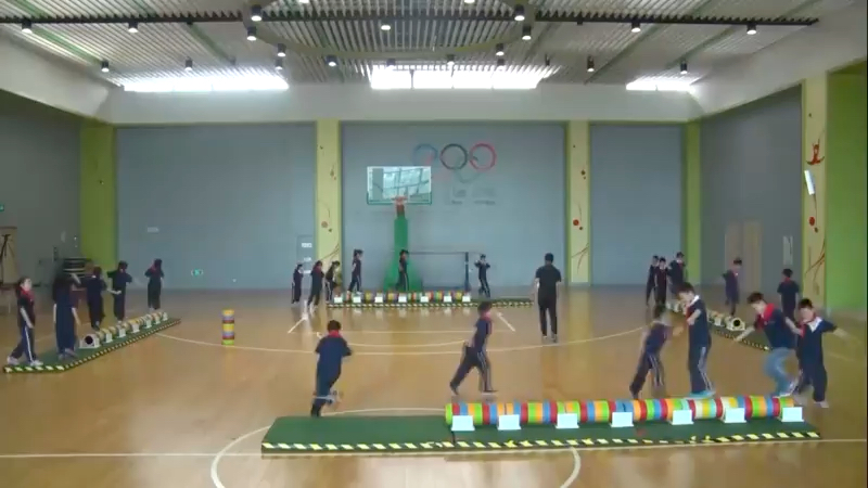 【体育公开课】 小学 发展平衡能力