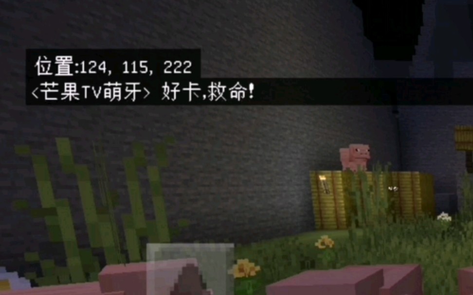 〖全网首发〗网易版mc防透视端外挂!跟透视端说拜拜