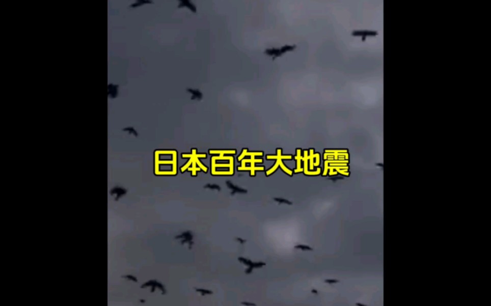 日本沉没的噩梦,南海海槽百年大地震来了