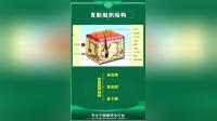 皮肤组织结构,你知道吗?