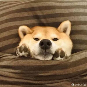 简凝日常开麦 