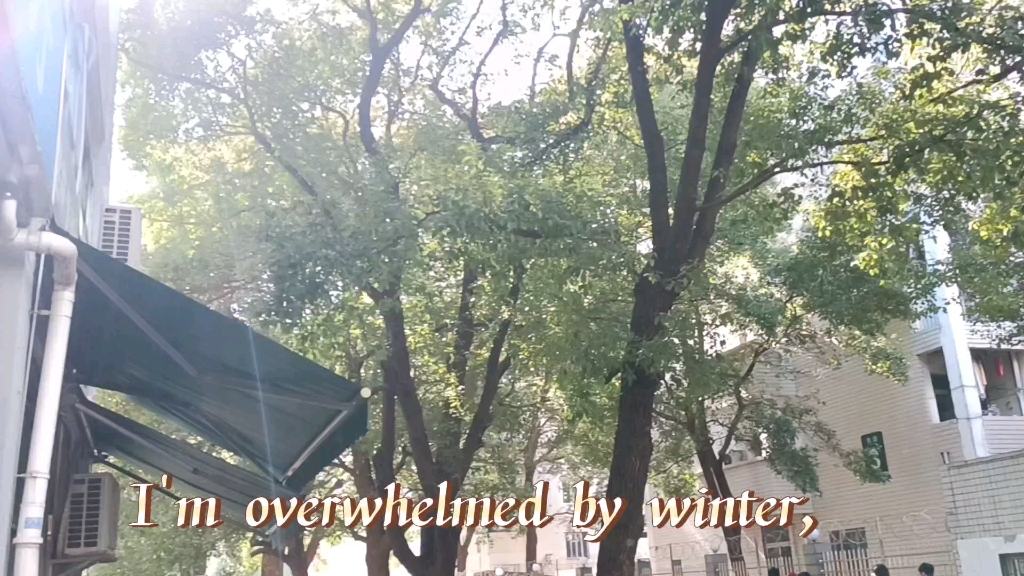 英语实践视频作业,