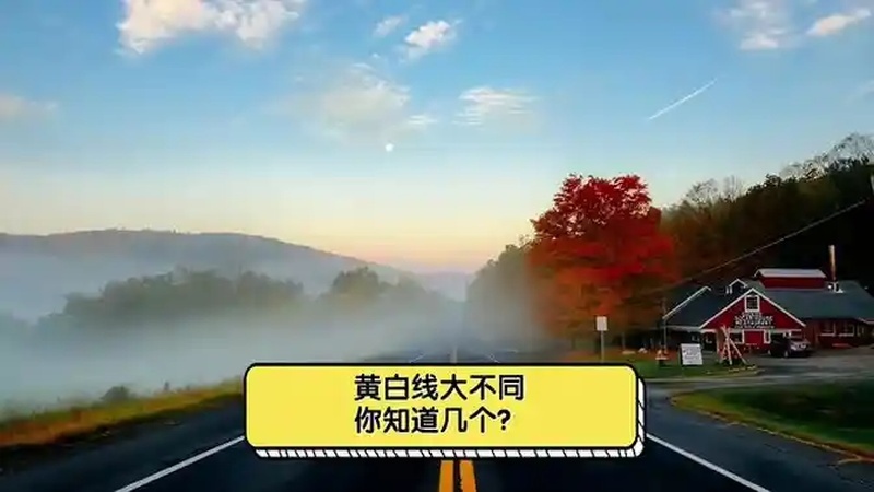 黄白线大不同,你知道几个