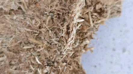 ...颗粒板的内部结构?这就是差的颗粒板的内在材料,大多都不是木材...