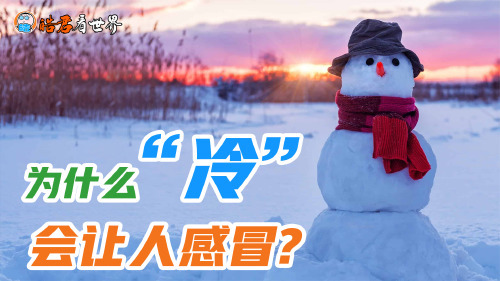 为什么"冷"会让人感冒?