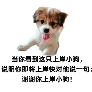 请叫我上岸小狗 