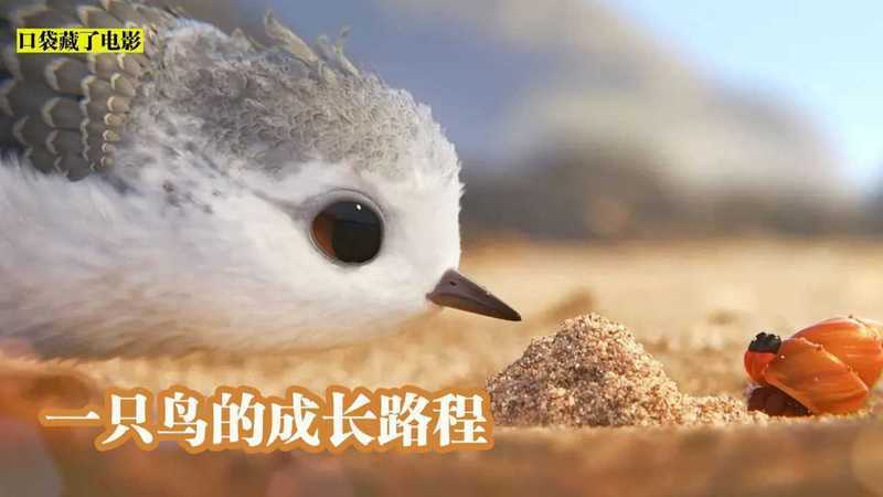 ...爱,是放手让他们成长,高分家庭教育系短片#电影种草指南短视频大赛#