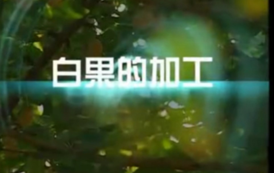 白果的加工