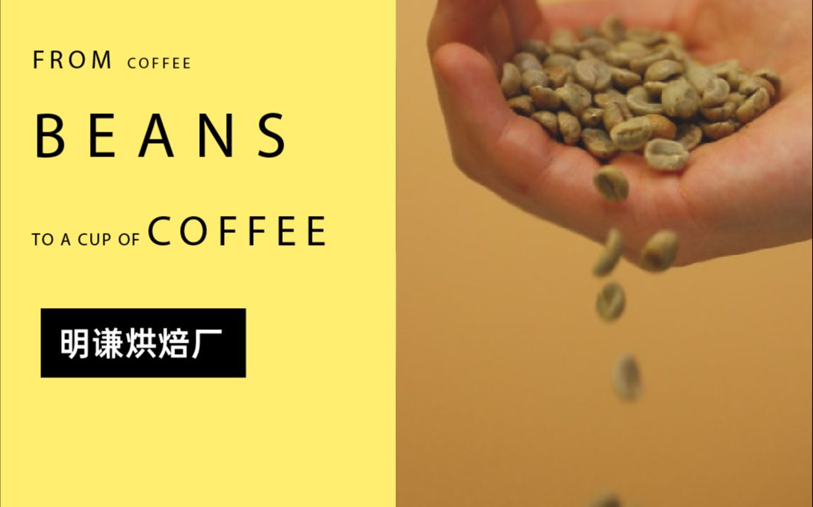 从咖啡豆到一杯咖啡要经历什么呢?