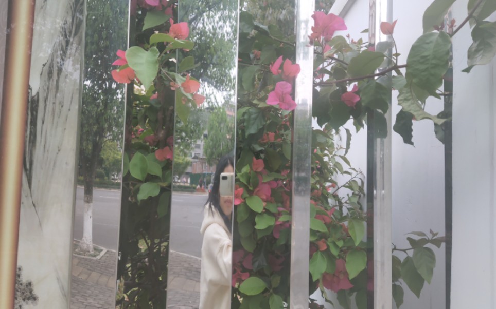 器械gcp机构监督检查与判定原则-法规征求意见稿讨论