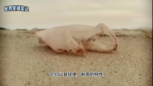 塑料袋生产全揭秘:高效流程与环保难题深度解析