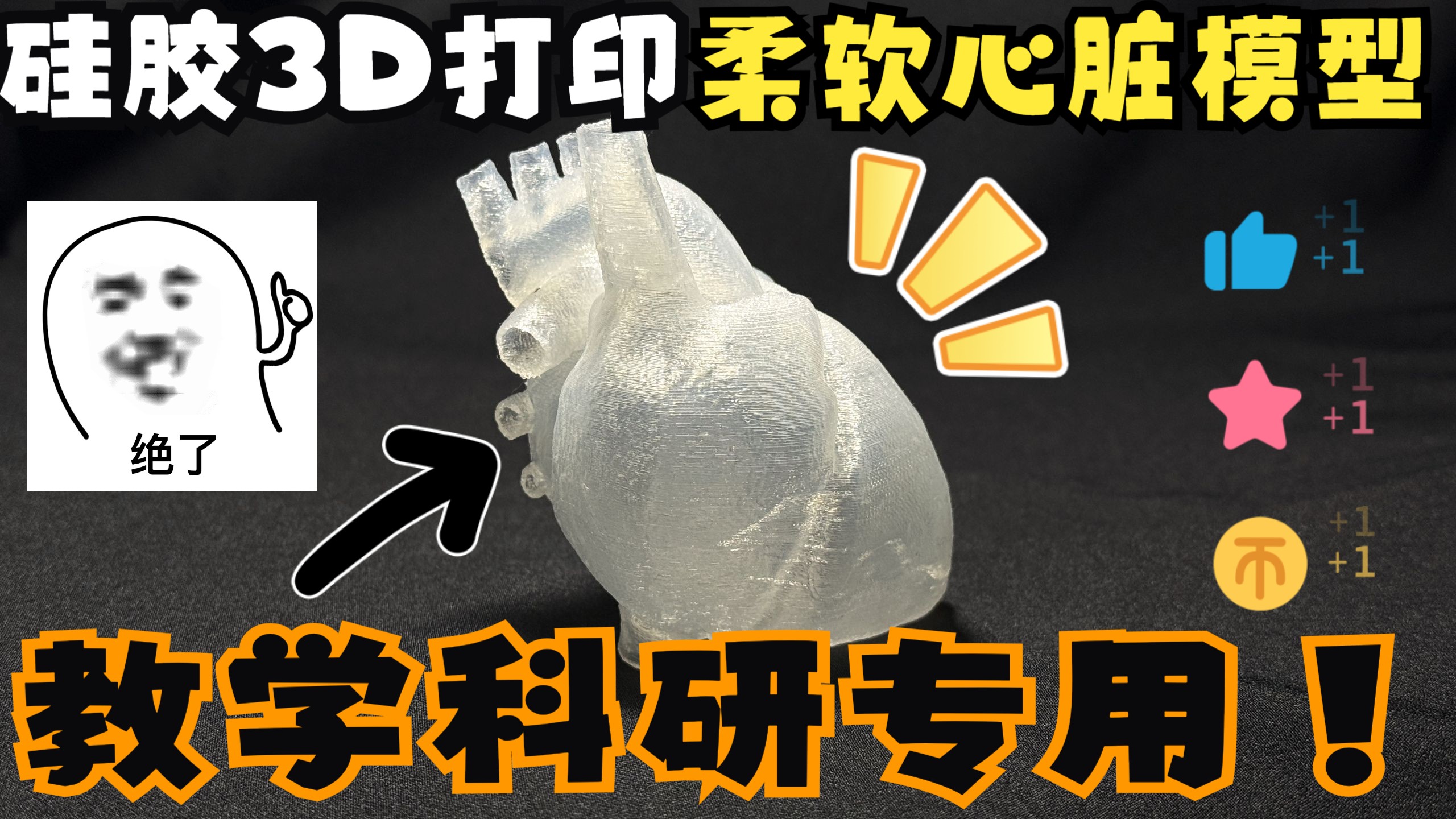【三递硅胶3D打印】柔性心脏模型展示|用于教学科研的结构成型演示