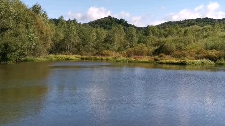 关注我,看深山里的美景,黑龙江省伊春市双丰林业局保林河林场,美景如...