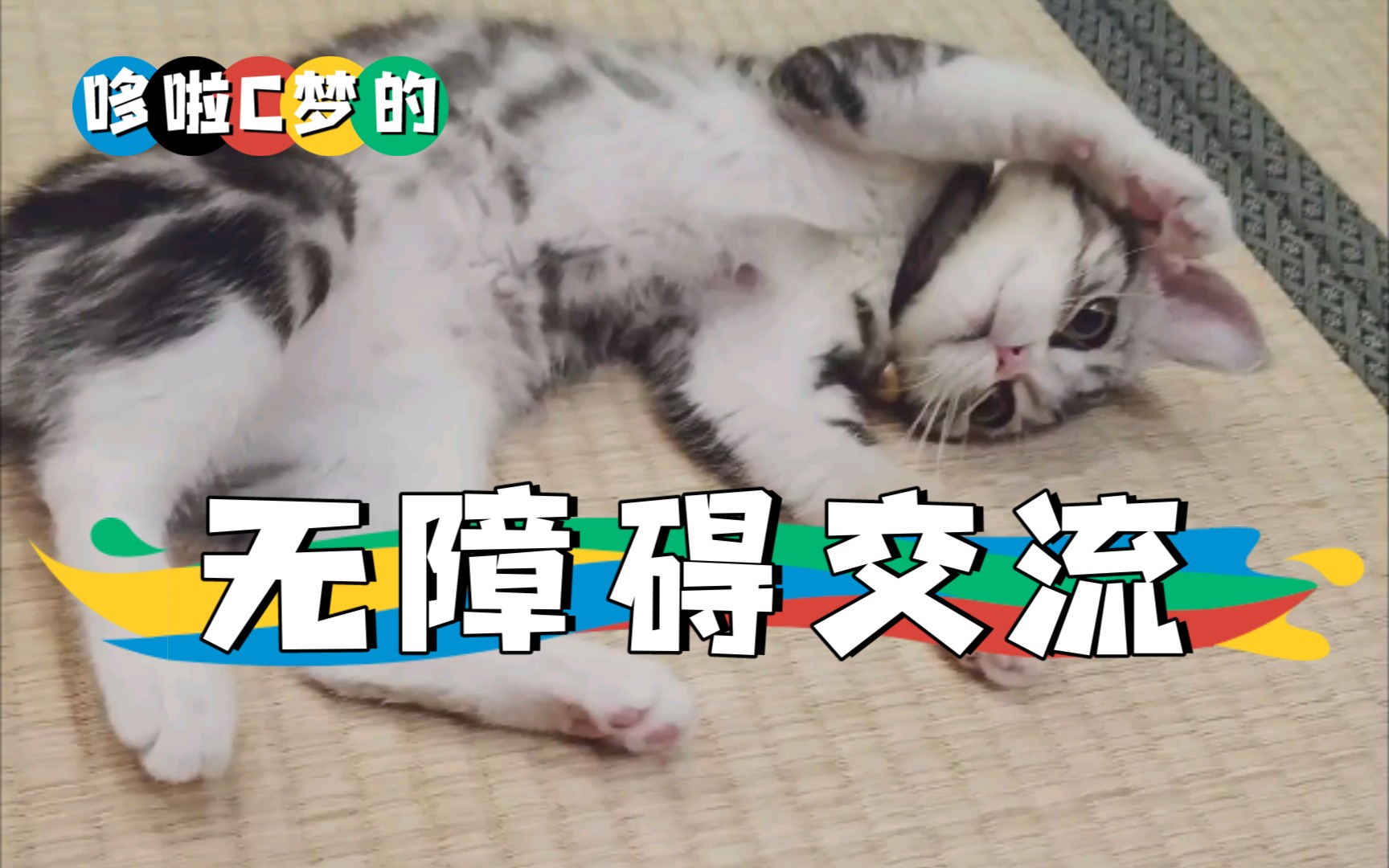 哆啦C梦的语言艺术,你还不明白猫在说什么吗,看完你就懂了。